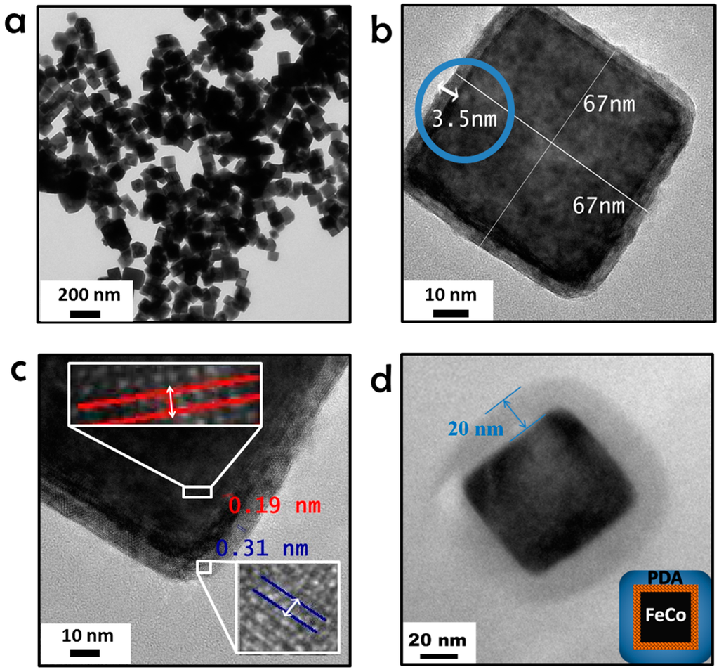 Microwave-Induced Chemotoxicity of Polydopamine-Coated Magnetic Nanocubes
