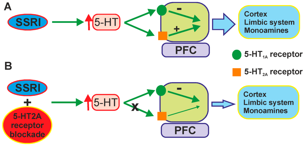 IJMS | Free Full-Text | Functional Selectivity and Antidepressant ...
