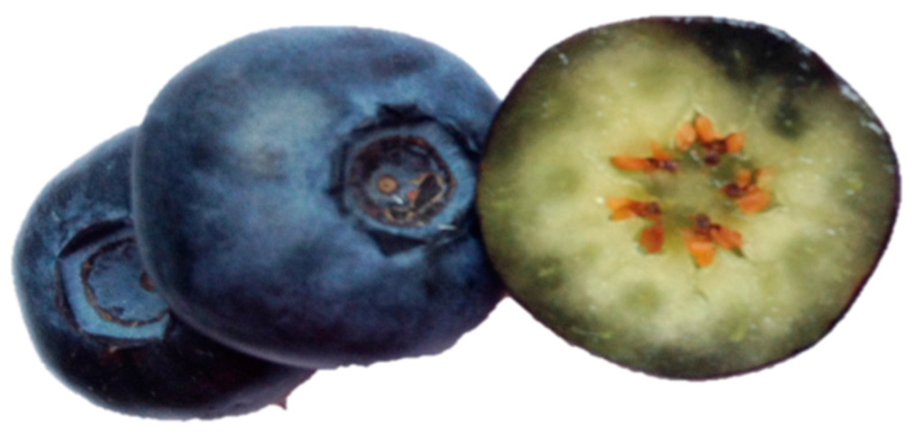 Bioactive Compounds of Blueberries: Post-Harvest Factors Influencing ...