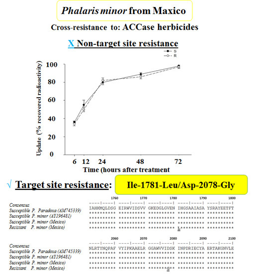 IJMS | Free Full-Text | Ile-1781-Leu and Asp-2078-Gly Mutations in ...
