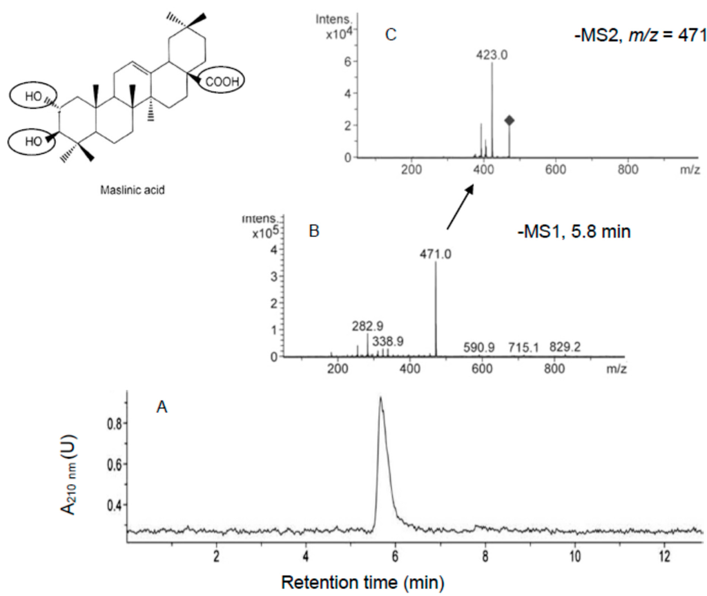 A New HPLC-MS Method for Measuring Maslinic Acid and Oleanolic Acid in ...