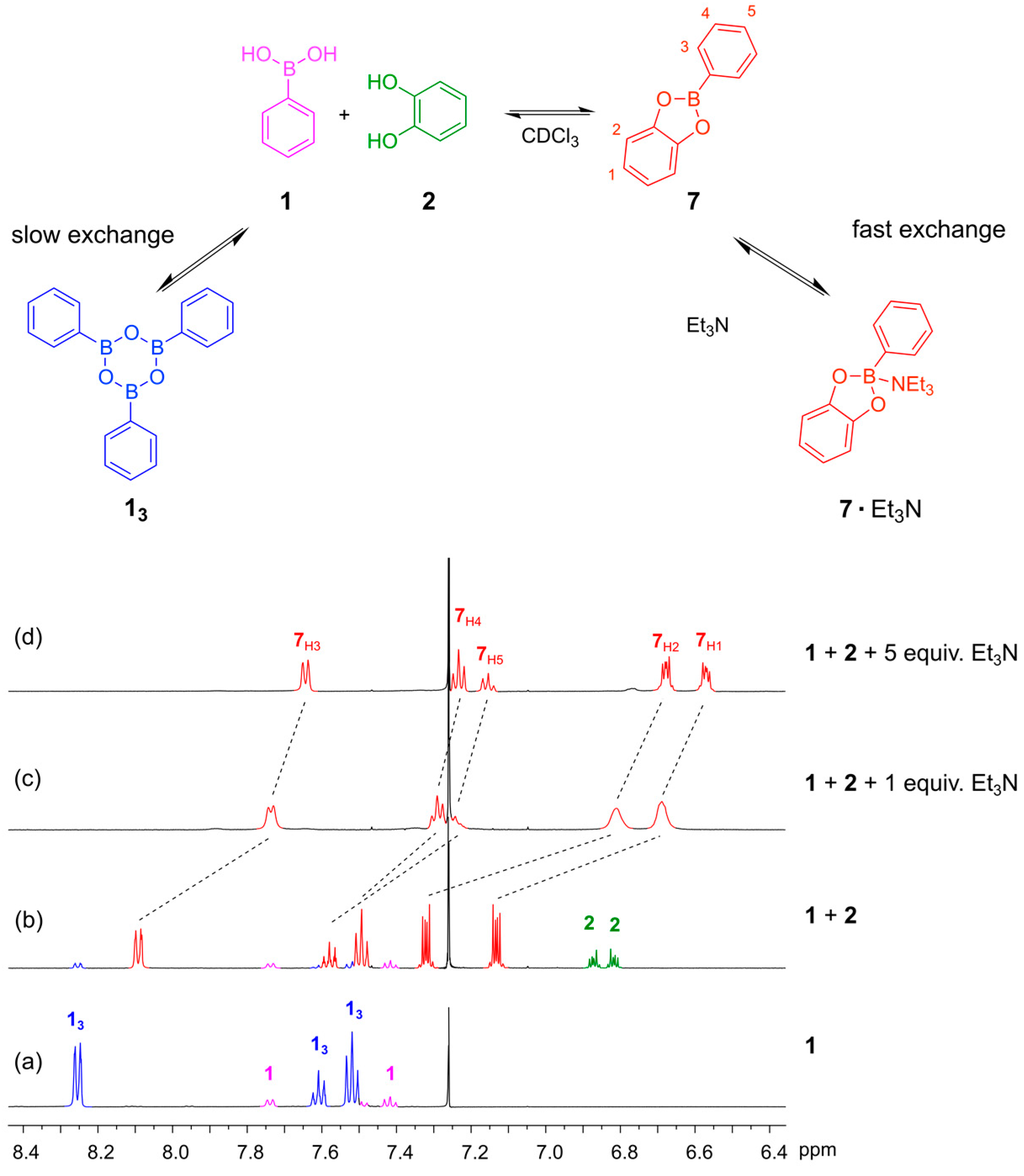 Simultaneous Disulfide and Boronic Acid Ester Exchange in Dynamic ...