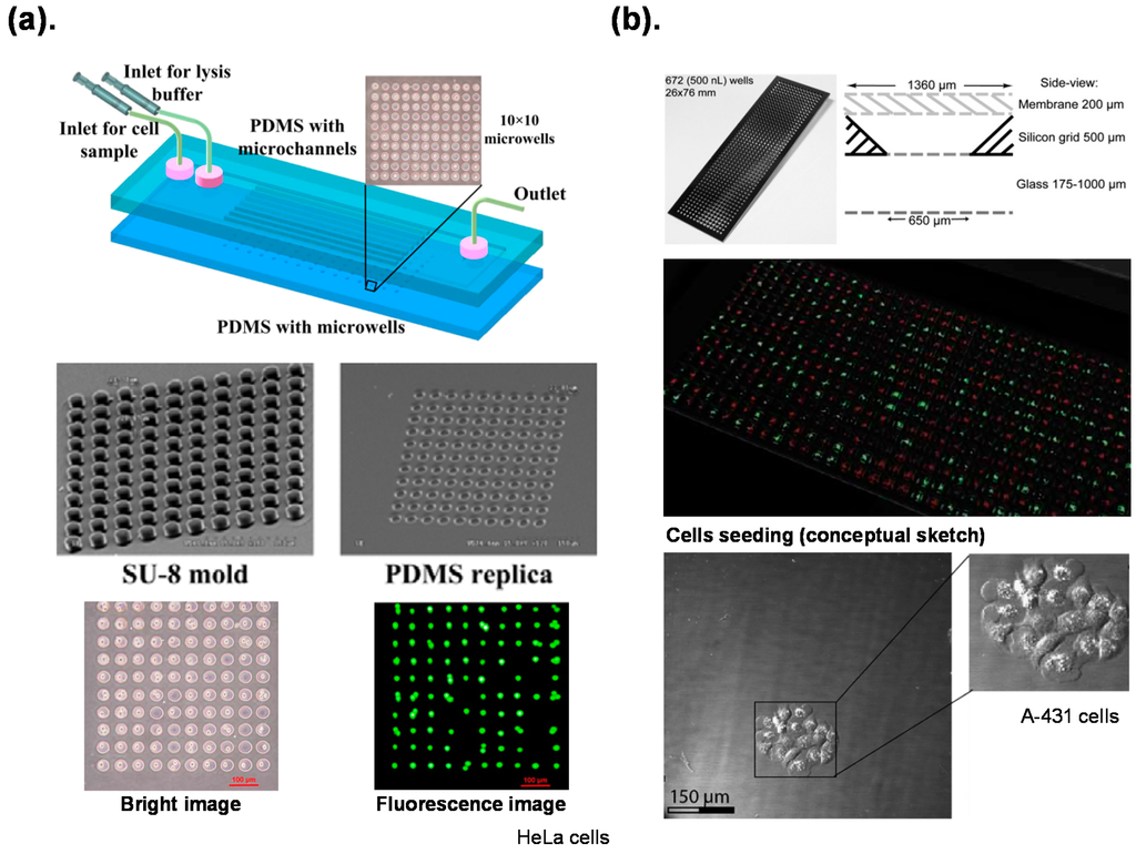 Digital Microfluidics for Manipulation and Analysis of a Single Cell