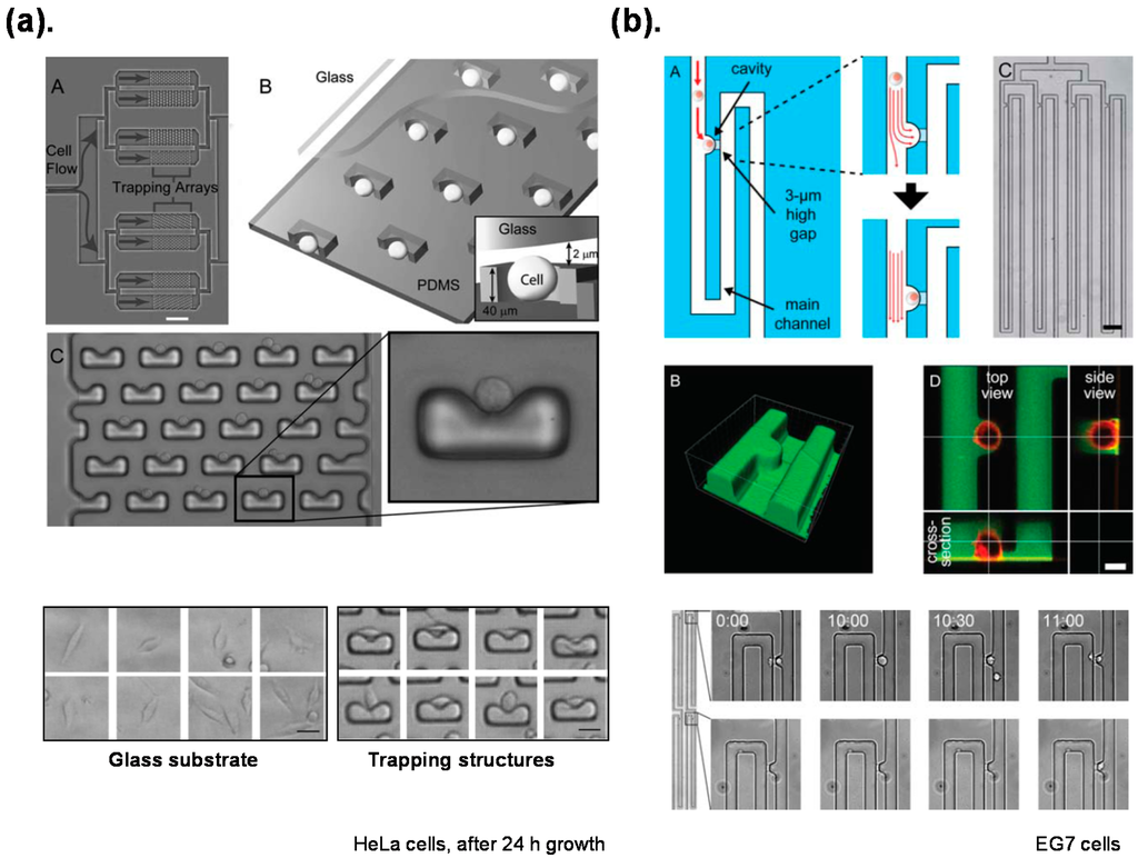 Digital Microfluidics for Manipulation and Analysis of a Single Cell