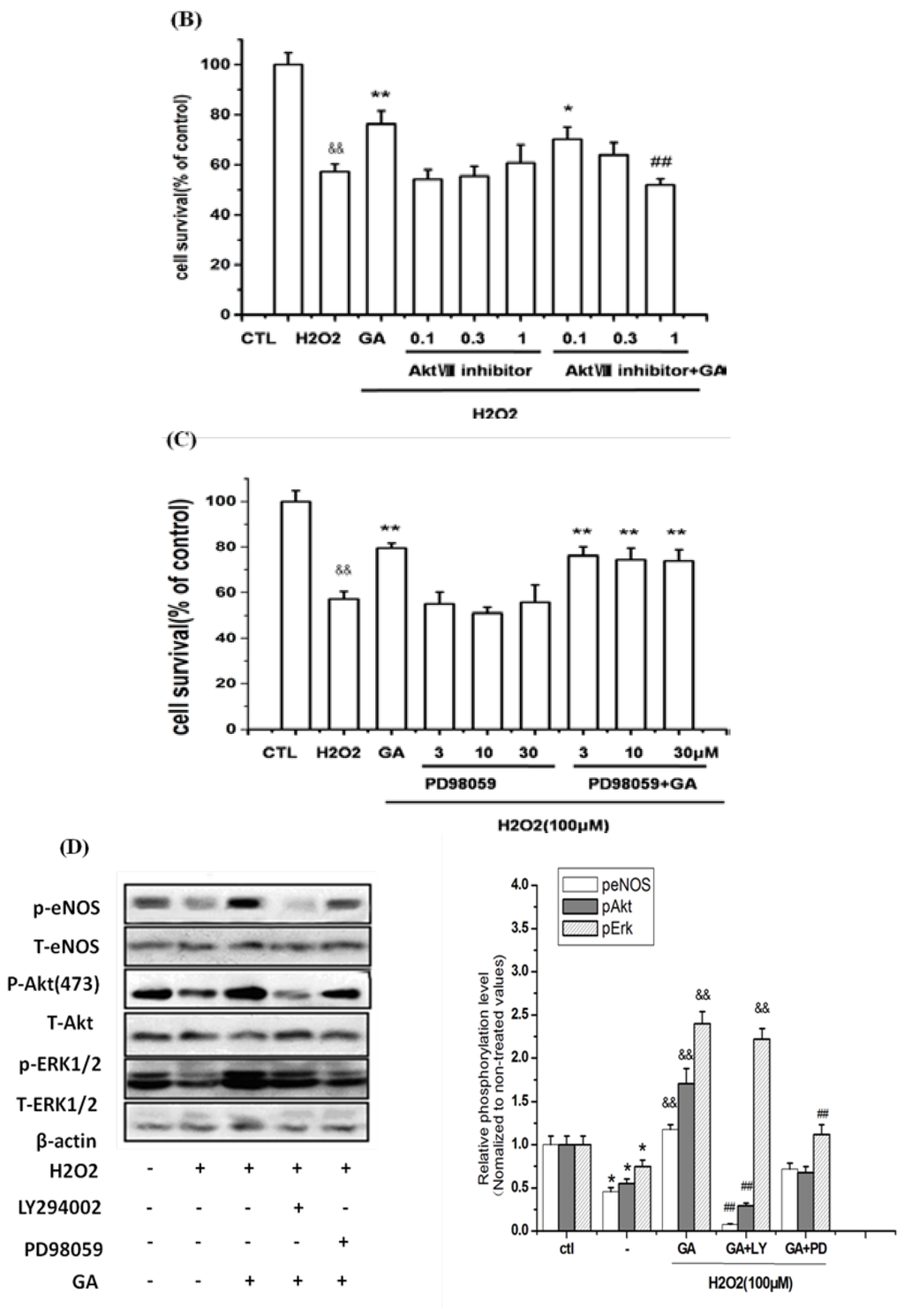 Gardenamide A Protects RGC-5 Cells from H2O2-Induced Oxidative Stress ...