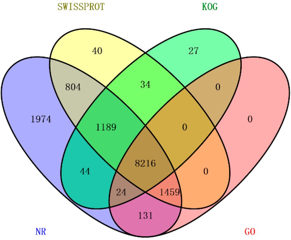Transcriptome Analysis and Identification of Differentially Expressed ...