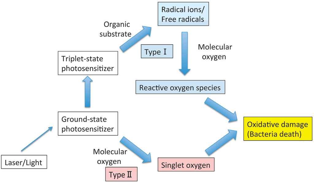 Adjunctive Application of Antimicrobial Photodynamic Therapy in ...