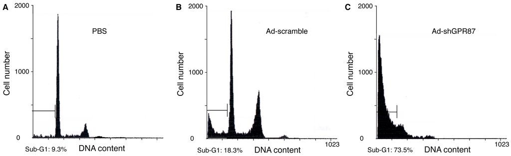 G Protein-Coupled Receptor 87 (GPR87) Promotes Cell Proliferation in ...