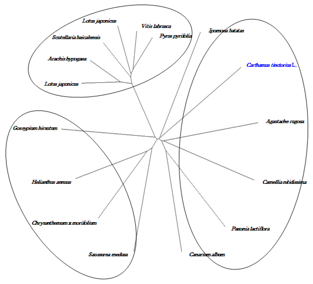 De Novo Sequencing and Analysis of the Safflower Transcriptome to ...