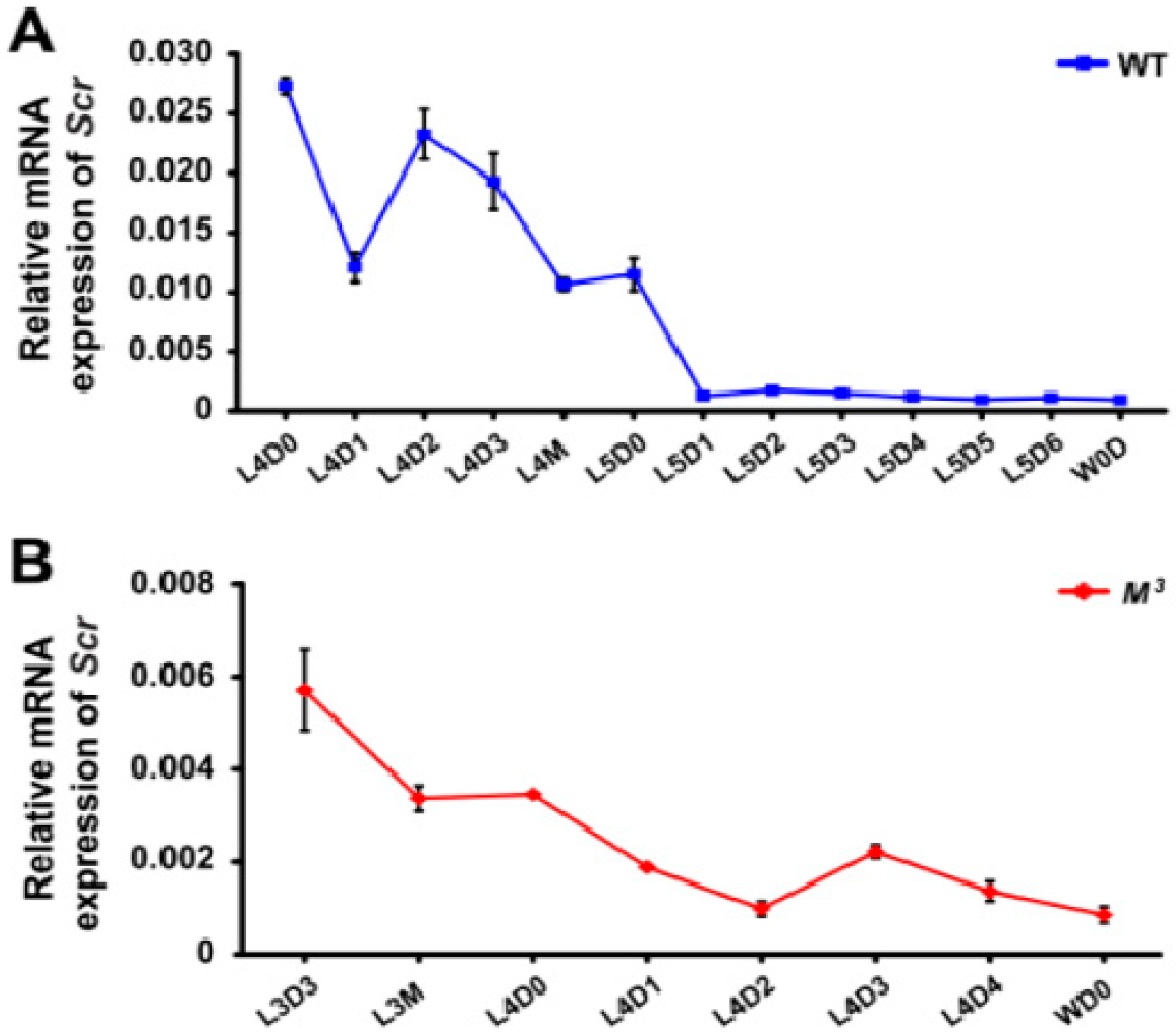 Homeodomain Protein Scr Regulates the Transcription of Genes Involved ...