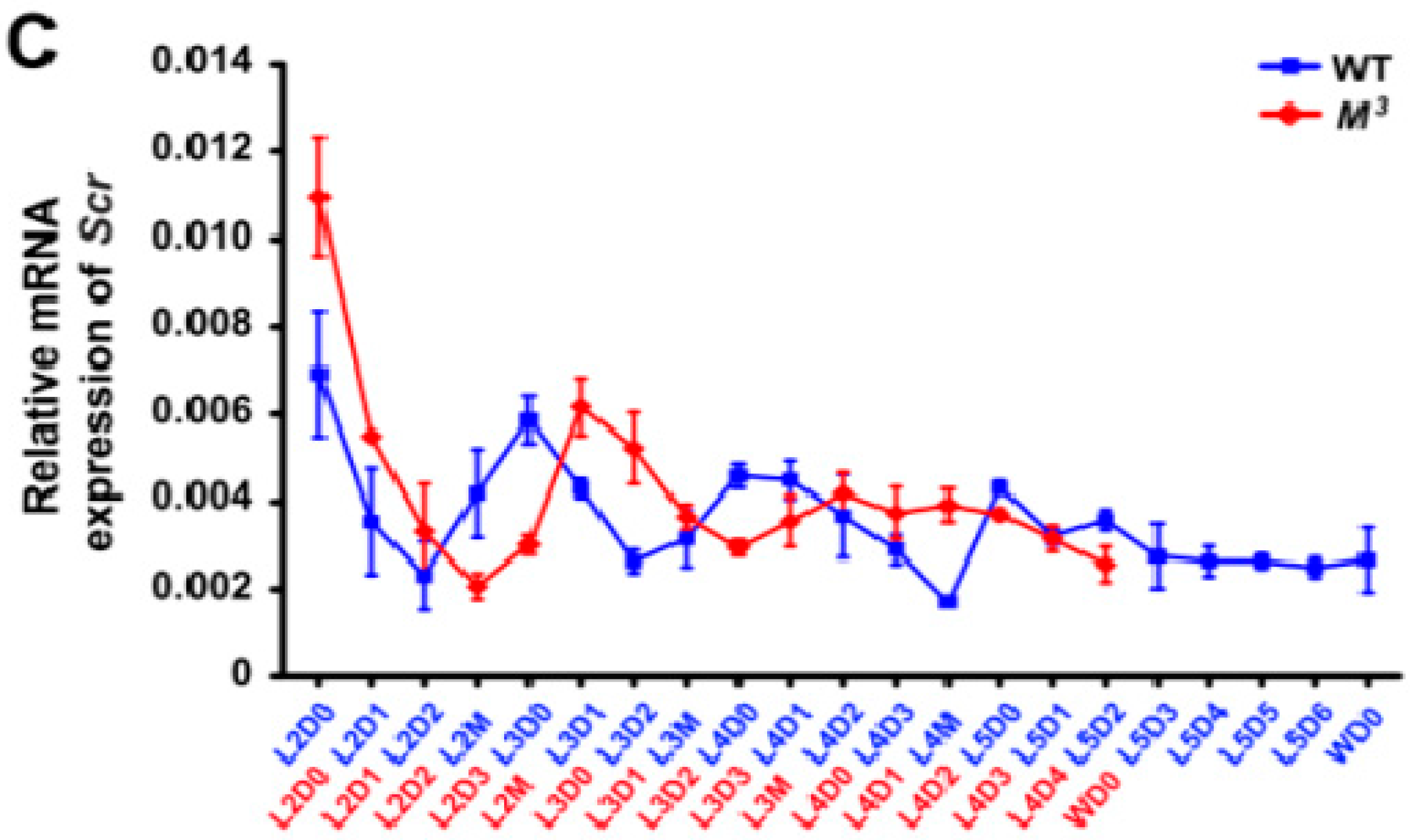 Homeodomain Protein Scr Regulates the Transcription of Genes Involved ...