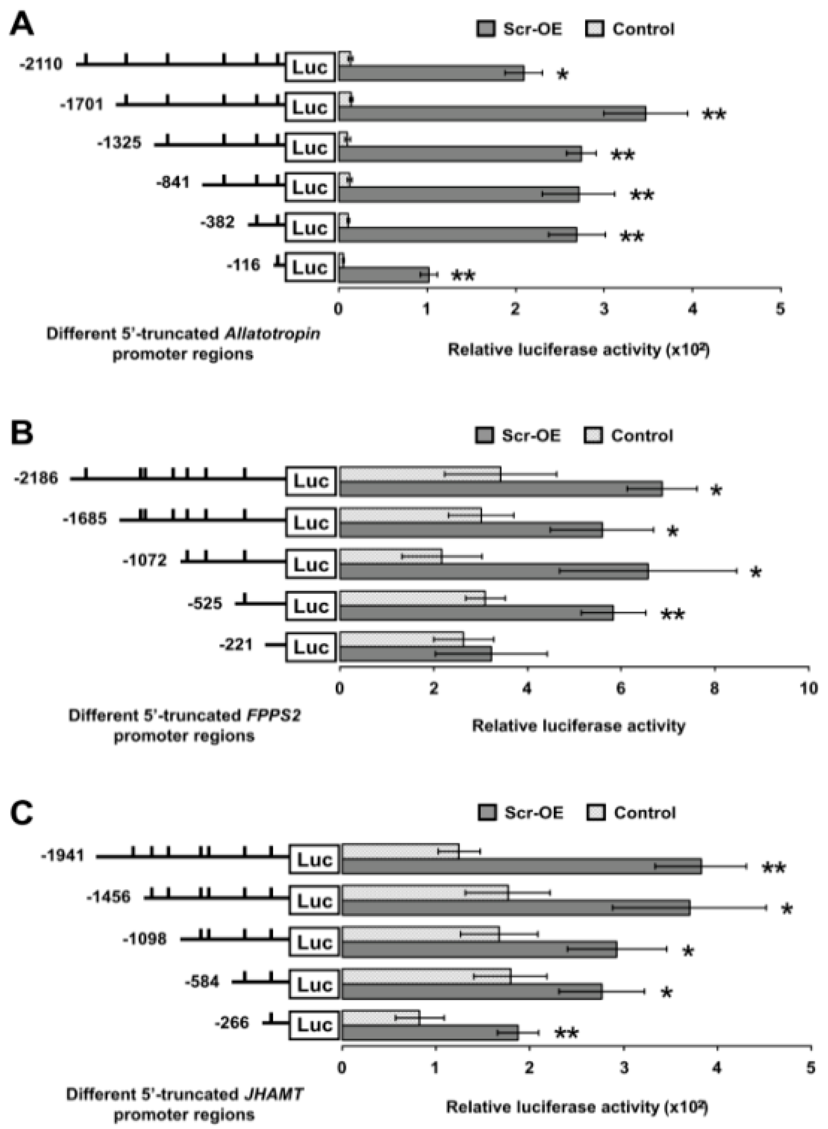 Homeodomain Protein Scr Regulates the Transcription of Genes Involved ...