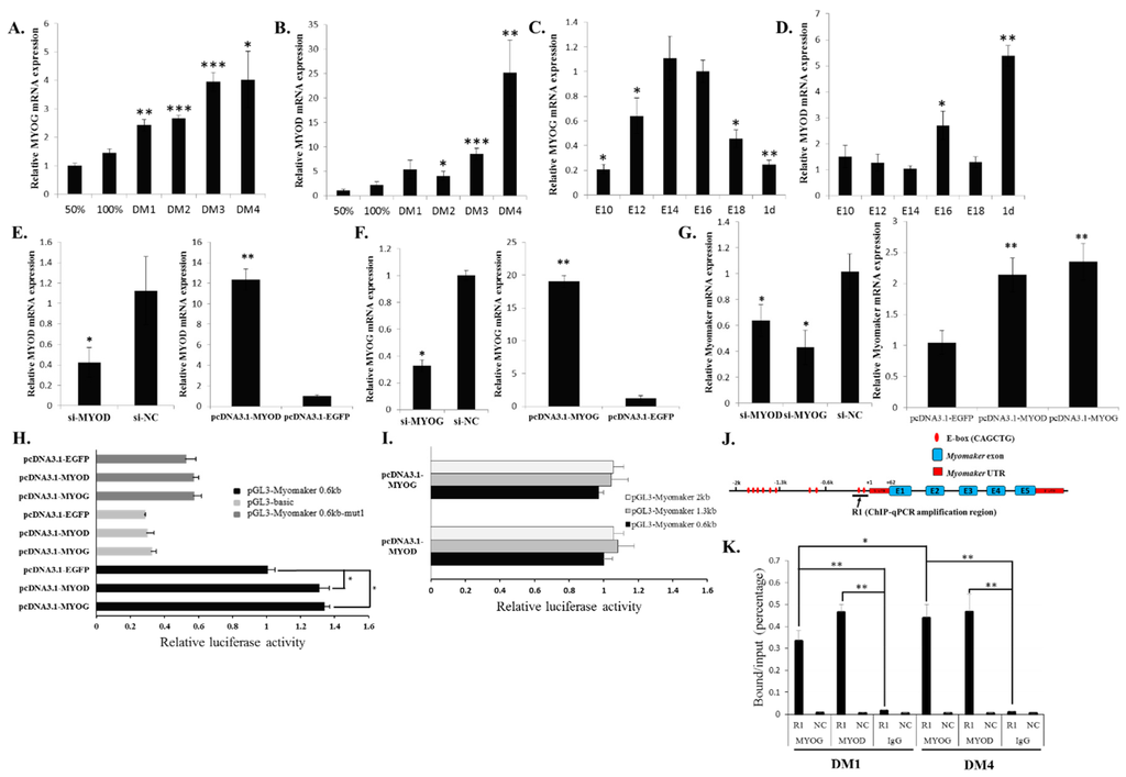 Myomaker, Regulated by MYOD, MYOG and miR-140-3p, Promotes Chicken ...