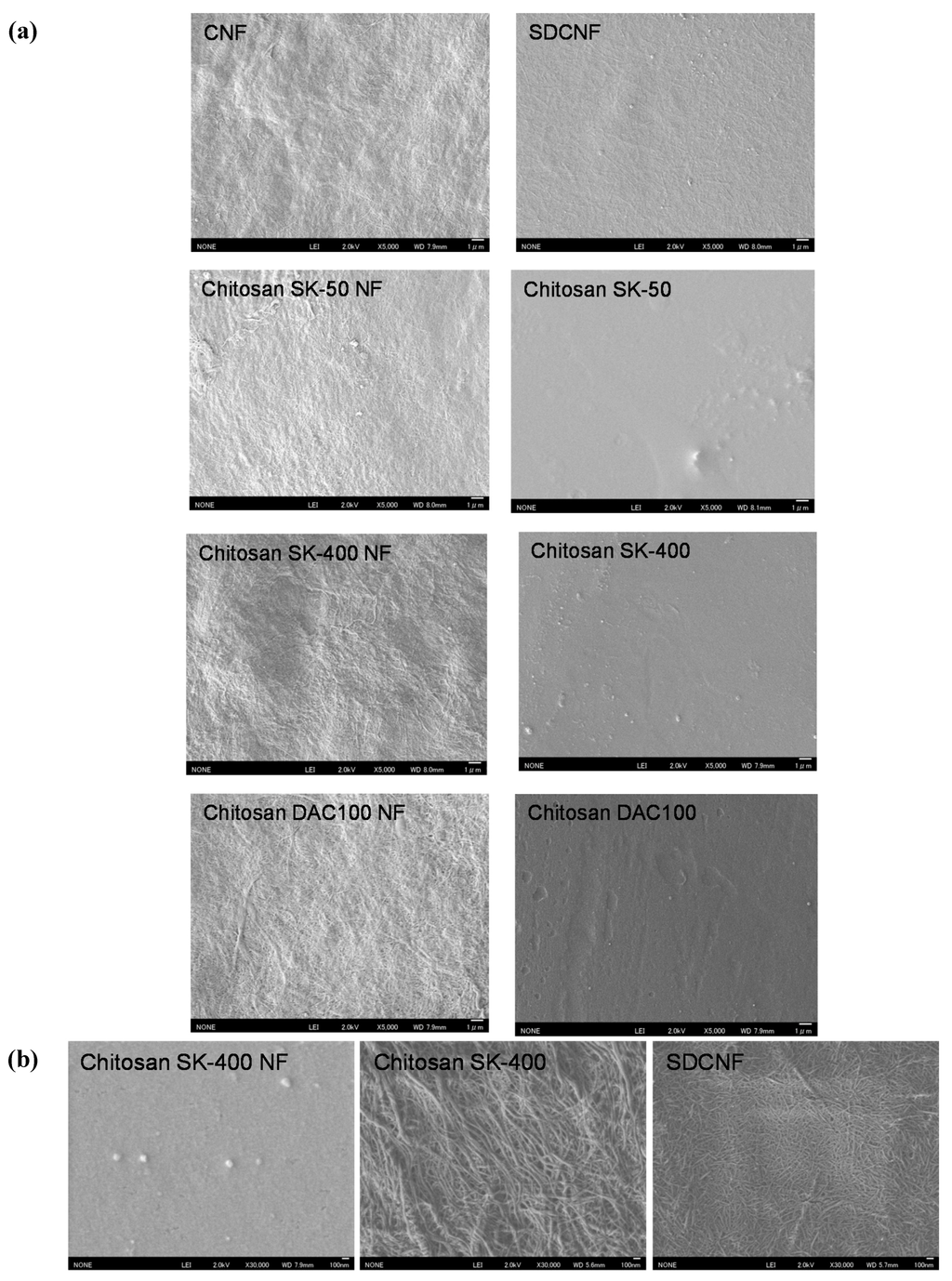 Characterization of Chitosan Nanofiber Sheets for Antifungal Application