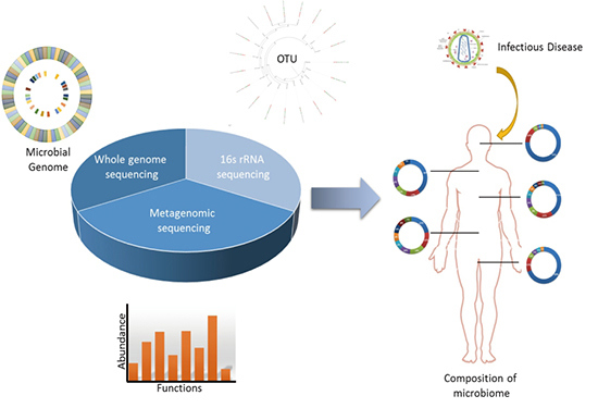 IJMS | Free Full-Text | Metagenomics: A New Way to Illustrate the Crosstalk between Infectious ...