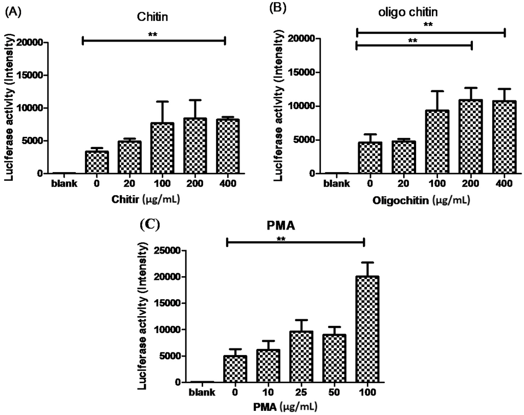 The Correlation between Chitin and Acidic Mammalian Chitinase in Animal ...