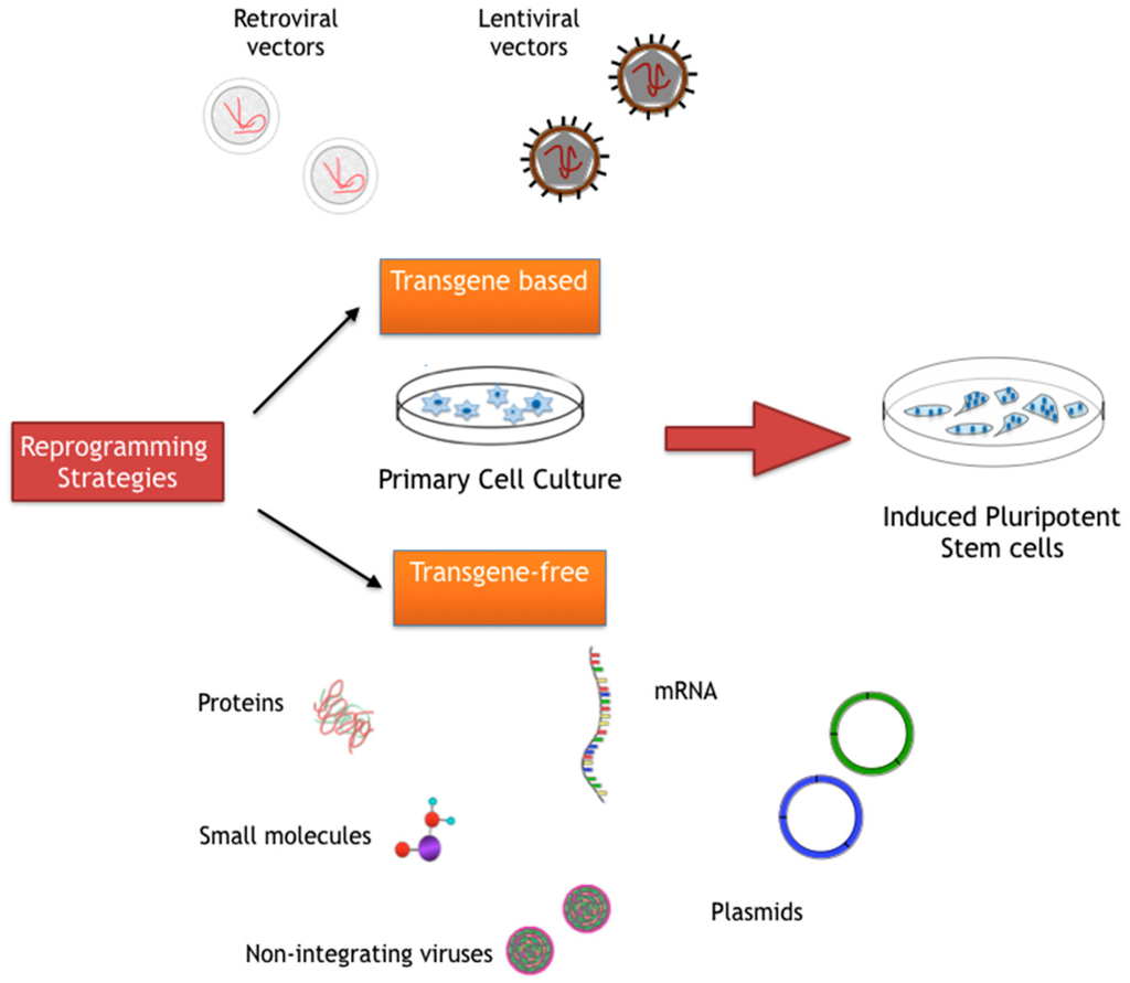 Induced Pluripotency and Gene Editing in Disease Modelling ...