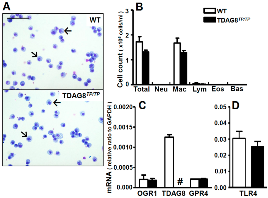 Protective Role of Proton-Sensing TDAG8 in Lipopolysaccharide-Induced ...
