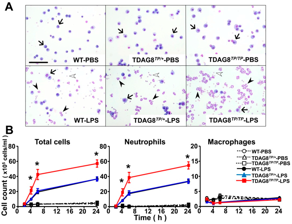 Protective Role of Proton-Sensing TDAG8 in Lipopolysaccharide-Induced ...