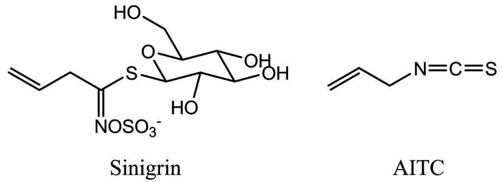 Allyl Isothiocyanate Inhibits Actin-Dependent Intracellular Transport ...