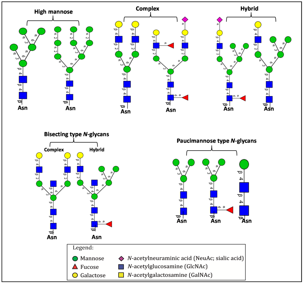 Mass Spectrometry-Based N-Glycomics of Colorectal Cancer