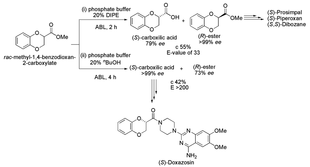 Recent Advances in Lipase-Mediated Preparation of Pharmaceuticals and ...