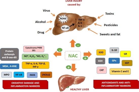 IJMS | Free Full-Text | Oxidative Stress and Inflammation in Hepatic ...