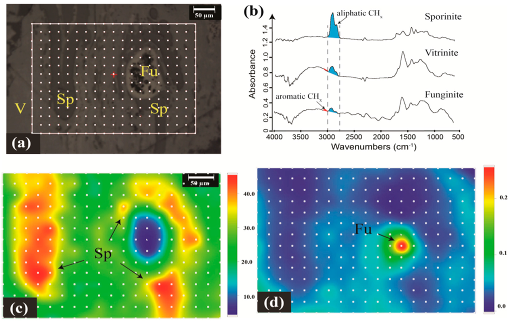 Applications of Micro-Fourier Transform Infrared Spectroscopy (FTIR) in ...