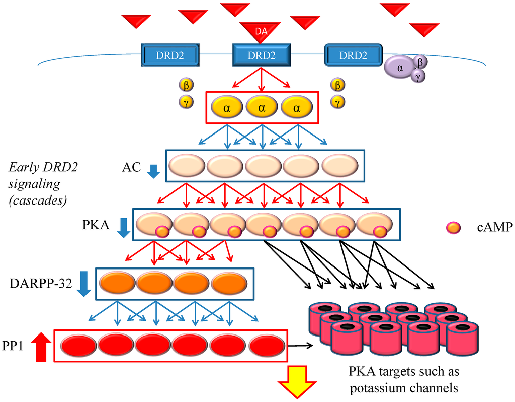 Alterations of Dopamine D2 Receptors and Related Receptor-Interacting ...