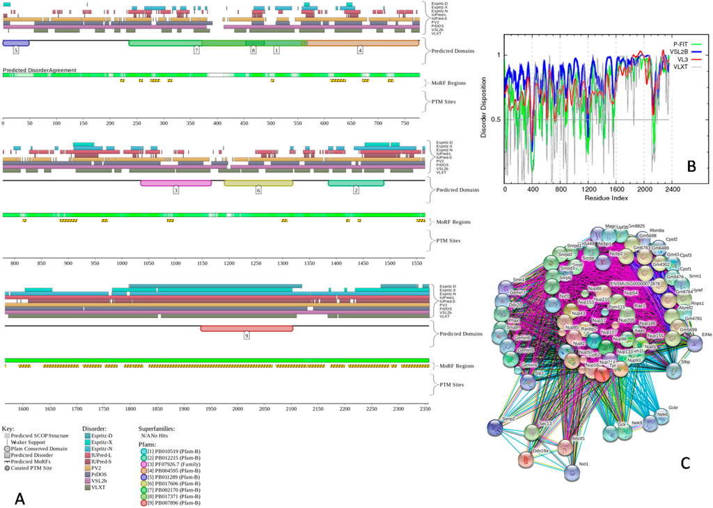 Compartmentalization and Functionality of Nuclear Disorder: Intrinsic ...