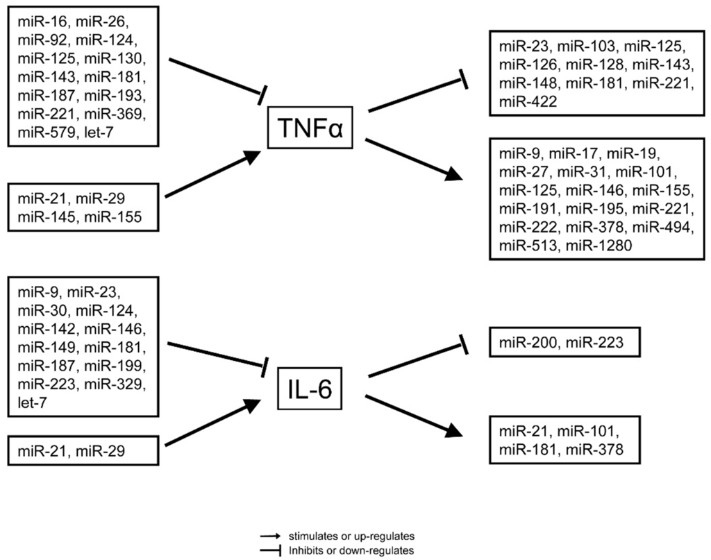 Ijms Free Full Text Circulating Micrornas As Biomarkers For Sepsis