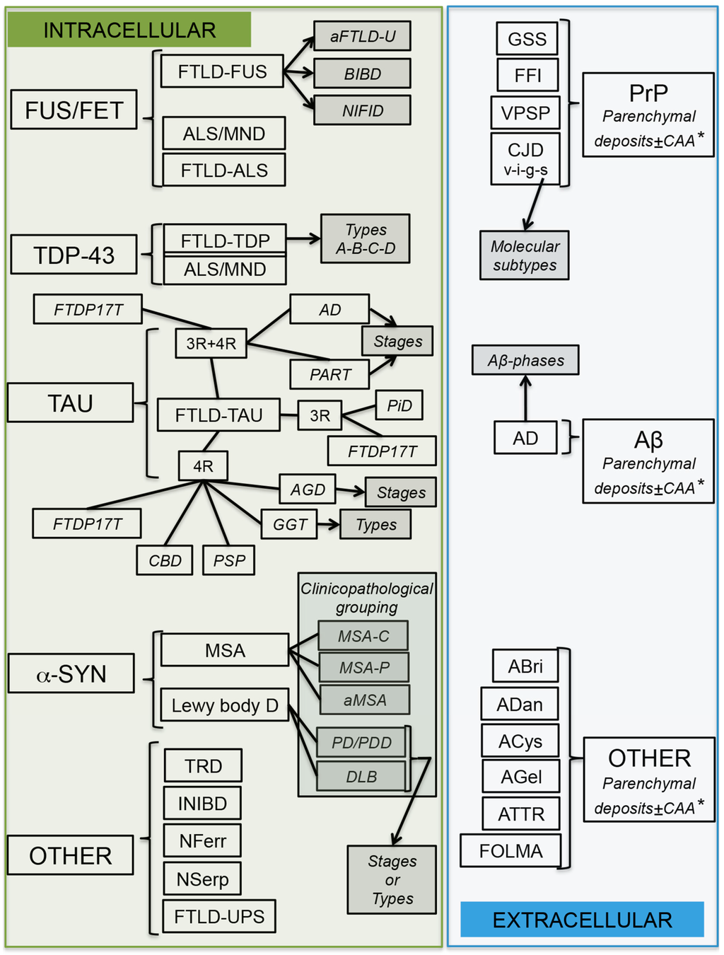 Molecular Pathological Classification of Neurodegenerative Diseases ...