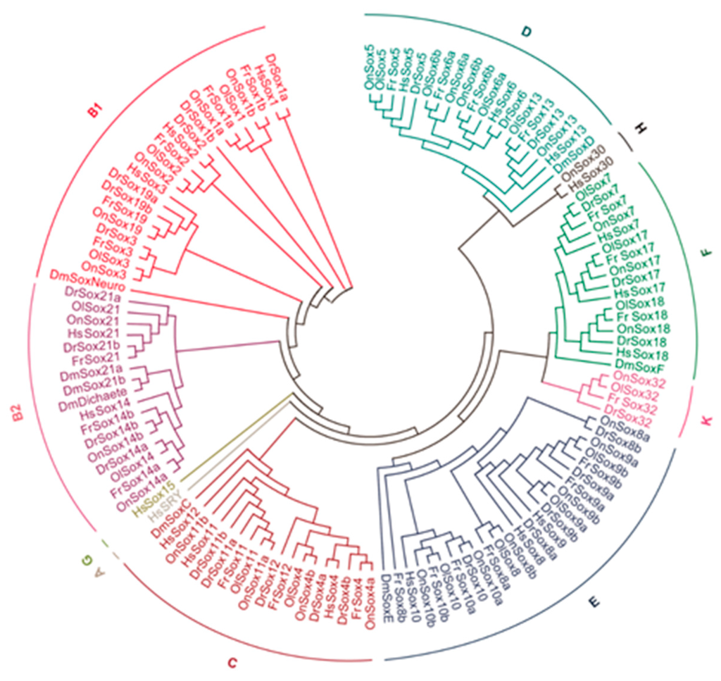 IJMS | Special Issue : Fish Molecular Biology