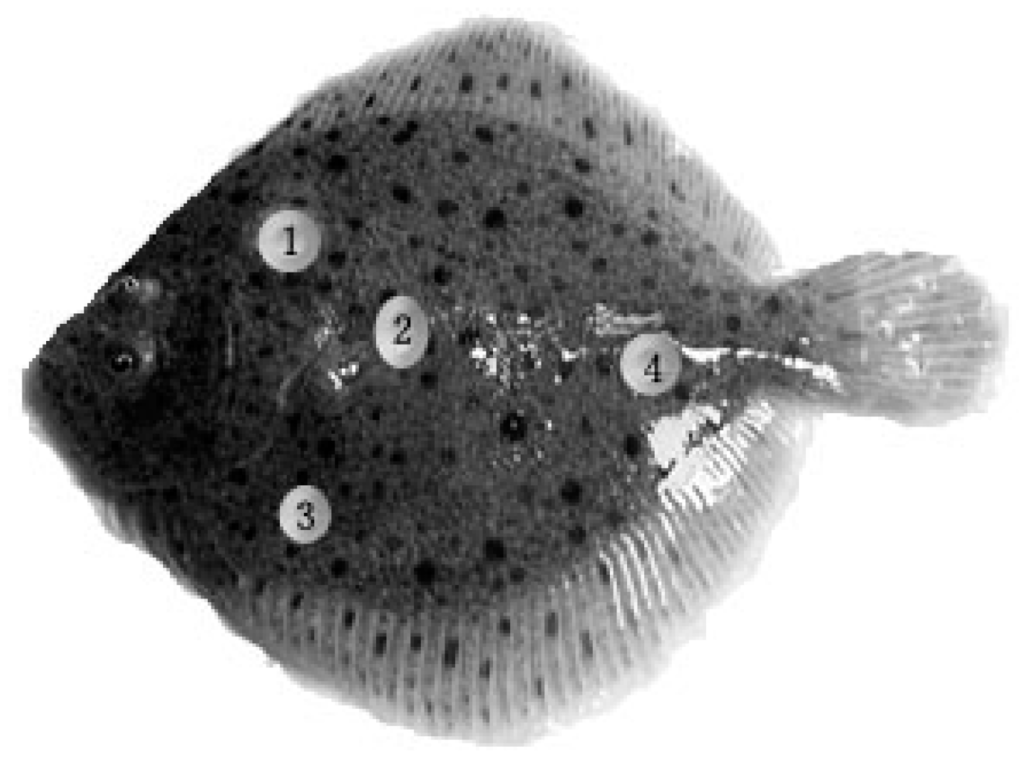 IJMS | Special Issue : Fish Molecular Biology