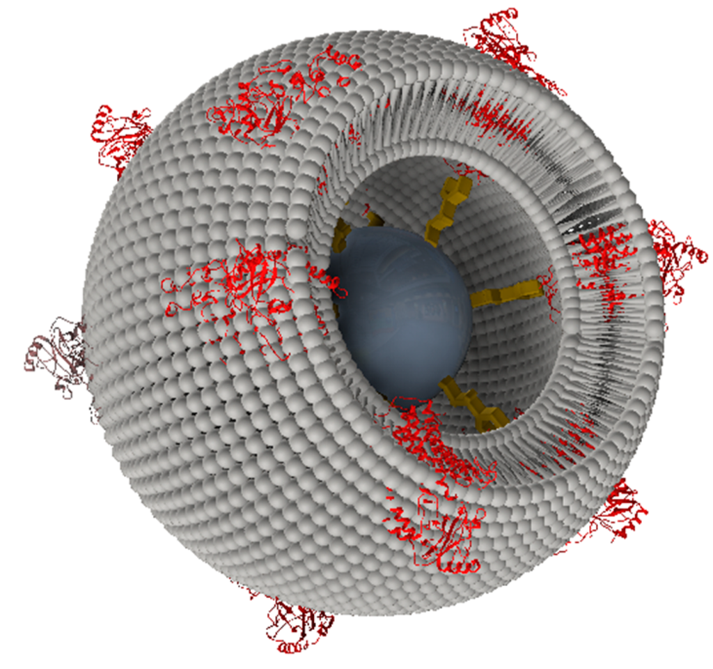 Biomimetic Membranes for Multi-Redox Center Proteins