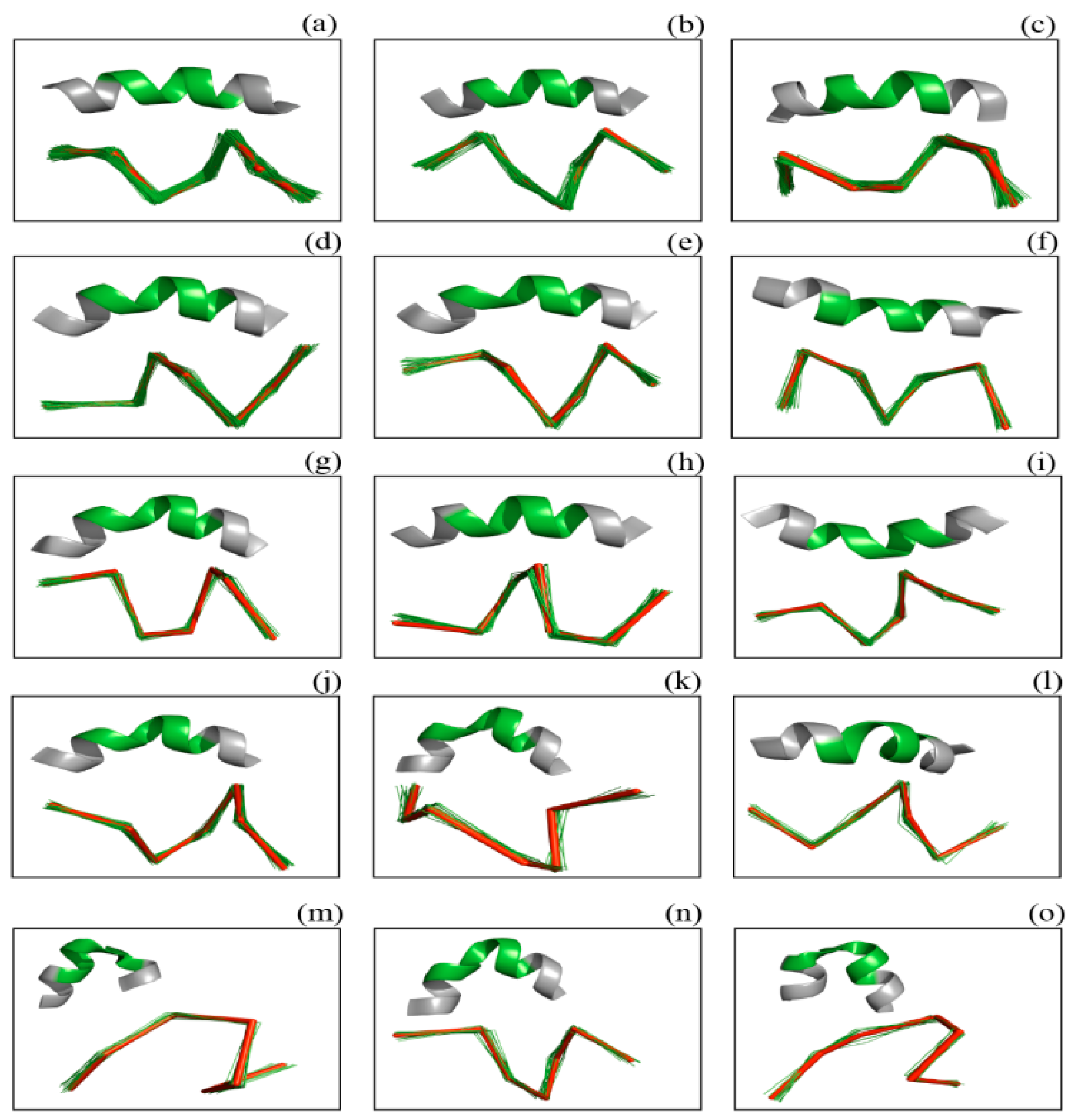 A New Secondary Structure Assignment Algorithm Using Cα Backbone Fragments