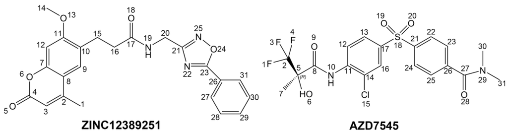 Computational Study on New Natural Compound Inhibitors of Pyruvate ...