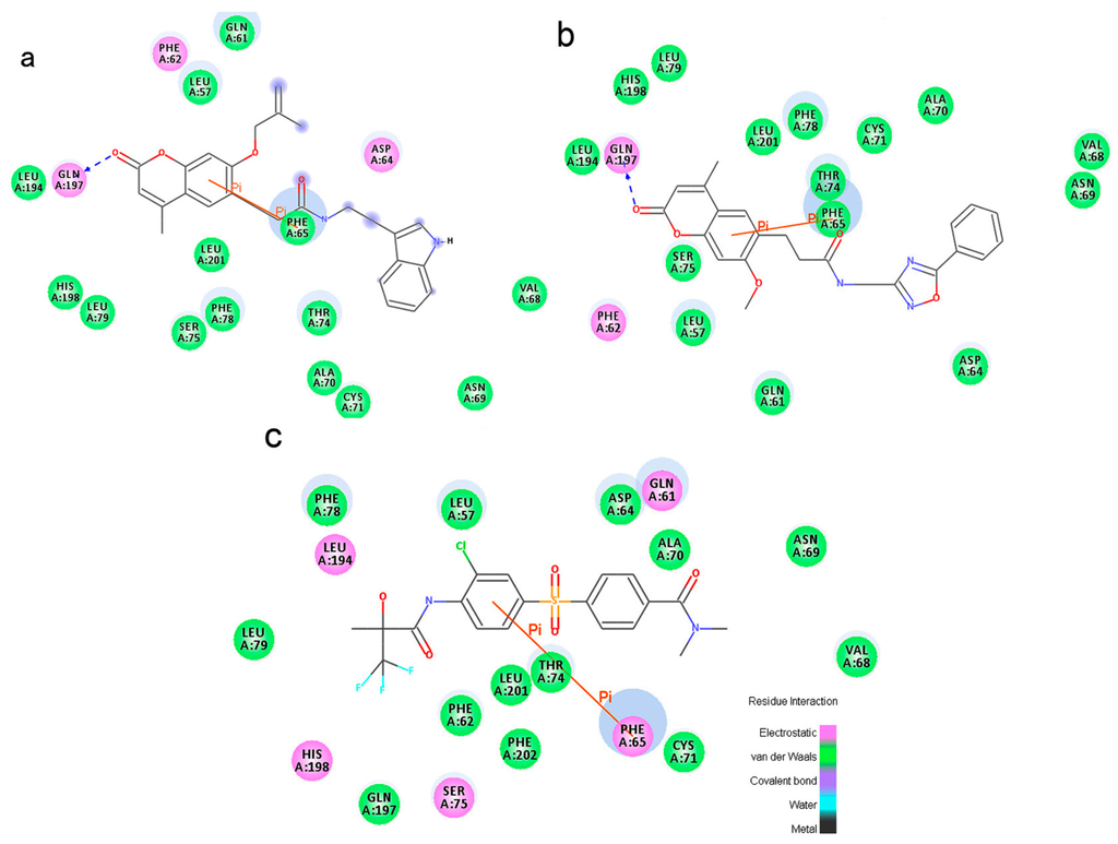 Computational Study on New Natural Compound Inhibitors of Pyruvate ...
