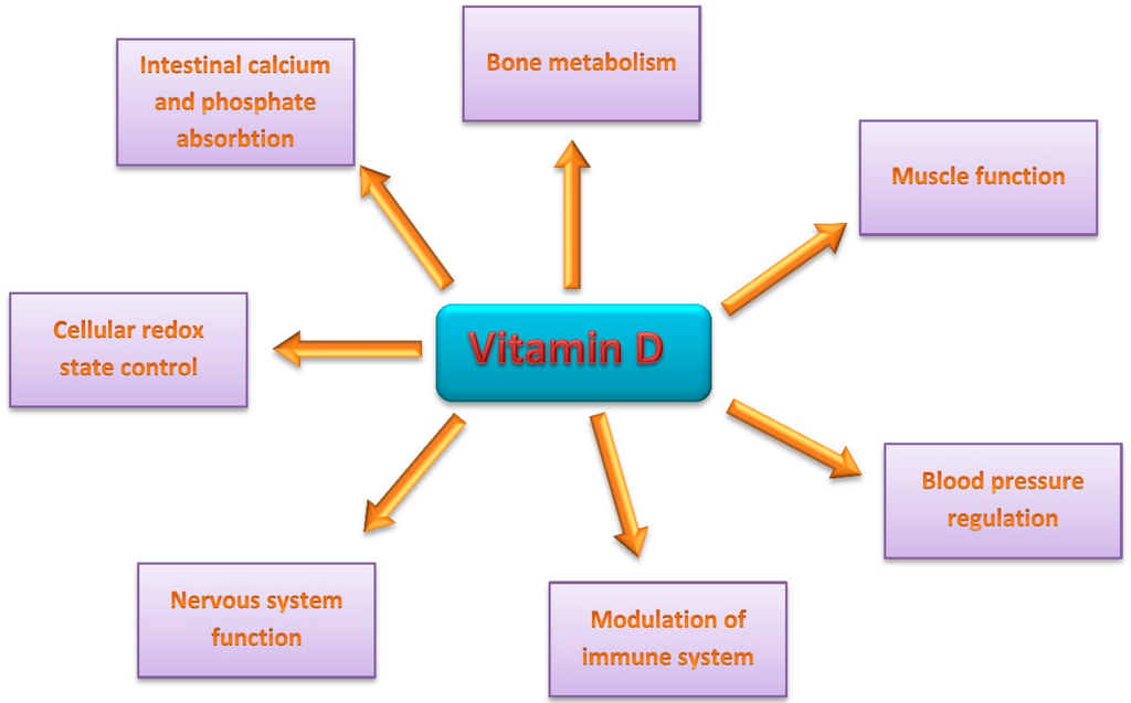 Nucleotide Excision Repair and Vitamin D—Relevance for Skin Cancer Therapy
