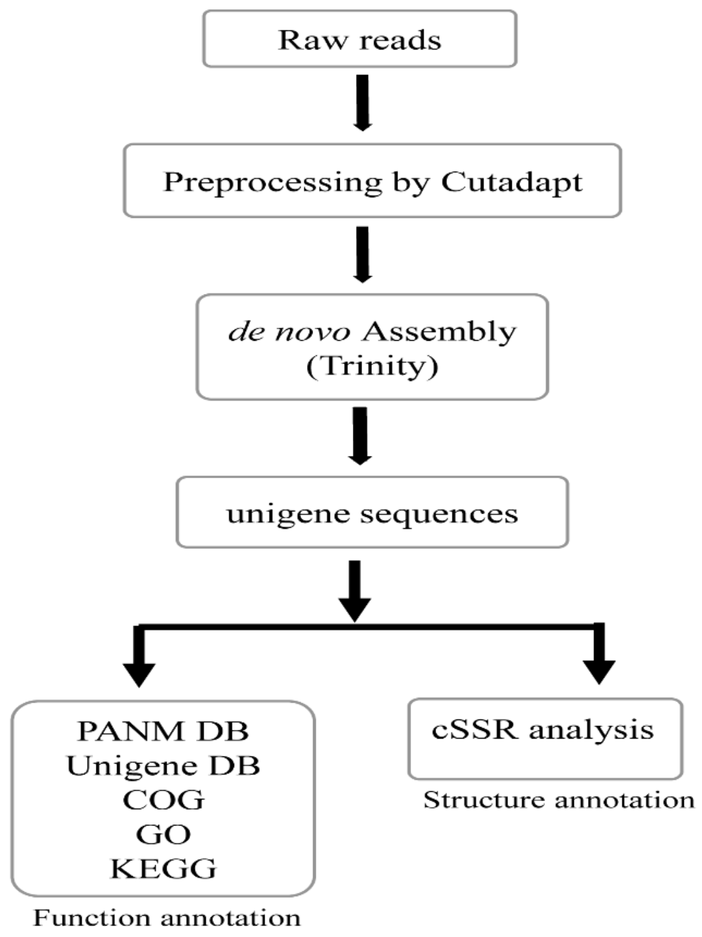 IJMS | Free Full-Text | De novo Transcriptome Generation and Annotation ...