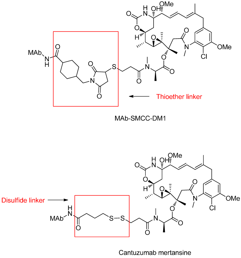 Linkers Having a Crucial Role in Antibody–Drug Conjugates
