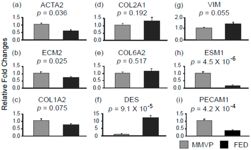 IJMS | Free Full-Text | Differential MicroRNA Expression Profile in ...