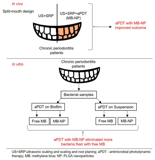 IJMS | Free Full-Text | Polymeric Nanoparticle-Based Photodynamic ...