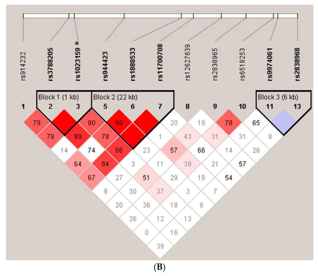 A Study of Single Nucleotide Polymorphisms of the SLC19A1/RFC1 Gene in ...
