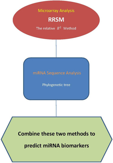 IJMS | Free Full-Text | Predicting MicroRNA Biomarkers for Cancer Using ...
