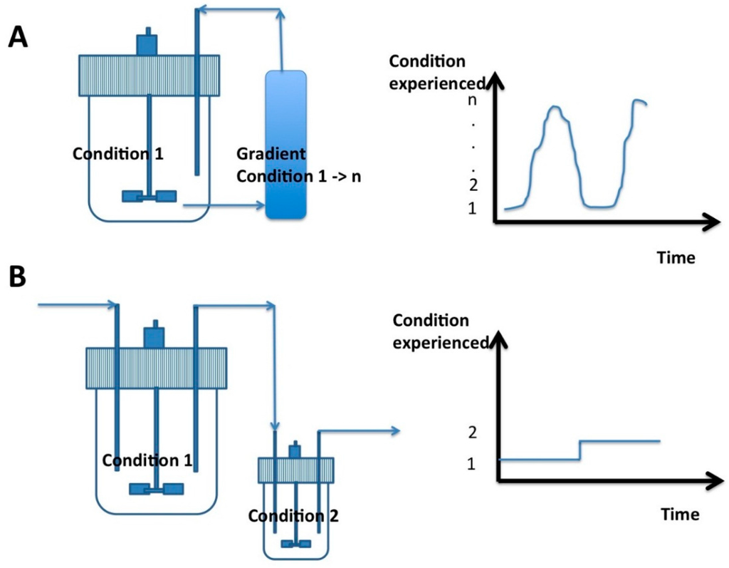 Biochemical Engineering Approaches for Increasing Viability and ...