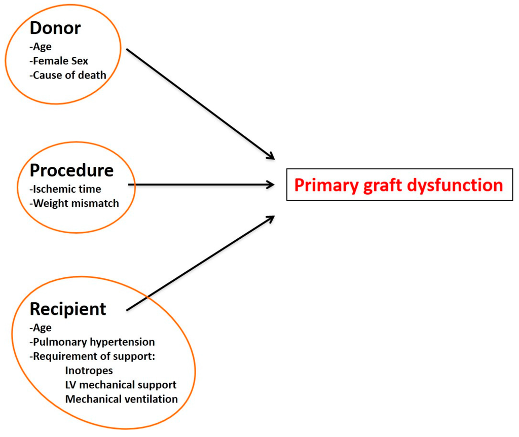 Targeting the Innate Immune Response to Improve Cardiac Graft Recovery ...
