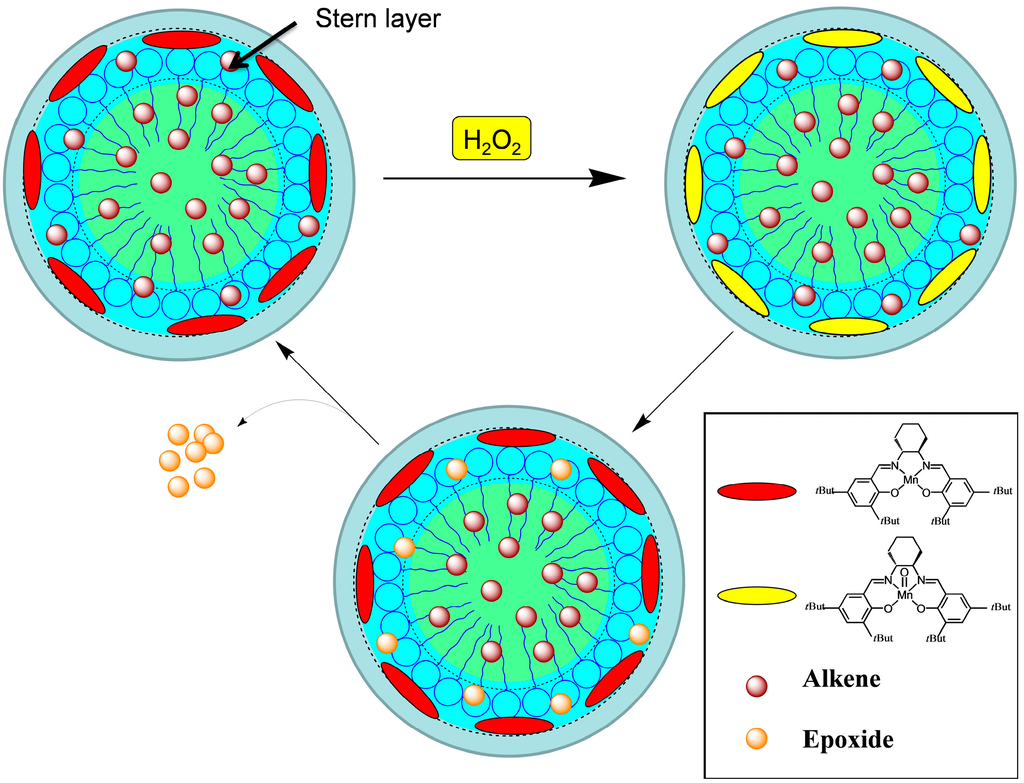 (Salen)Mn(III) Catalyzed Asymmetric Epoxidation Reactions by Hydrogen ...