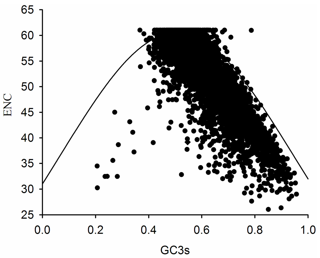 Genome-Wide Analysis of Codon Usage Bias in Epichloë festucae