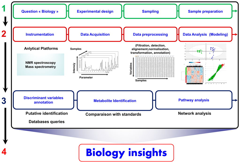 Clinical Metabolomics: The New Metabolic Window for Inborn Errors of ...